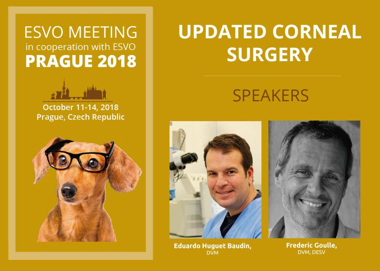 UPCOMMING - Esvo Veterinary Ophthalmology